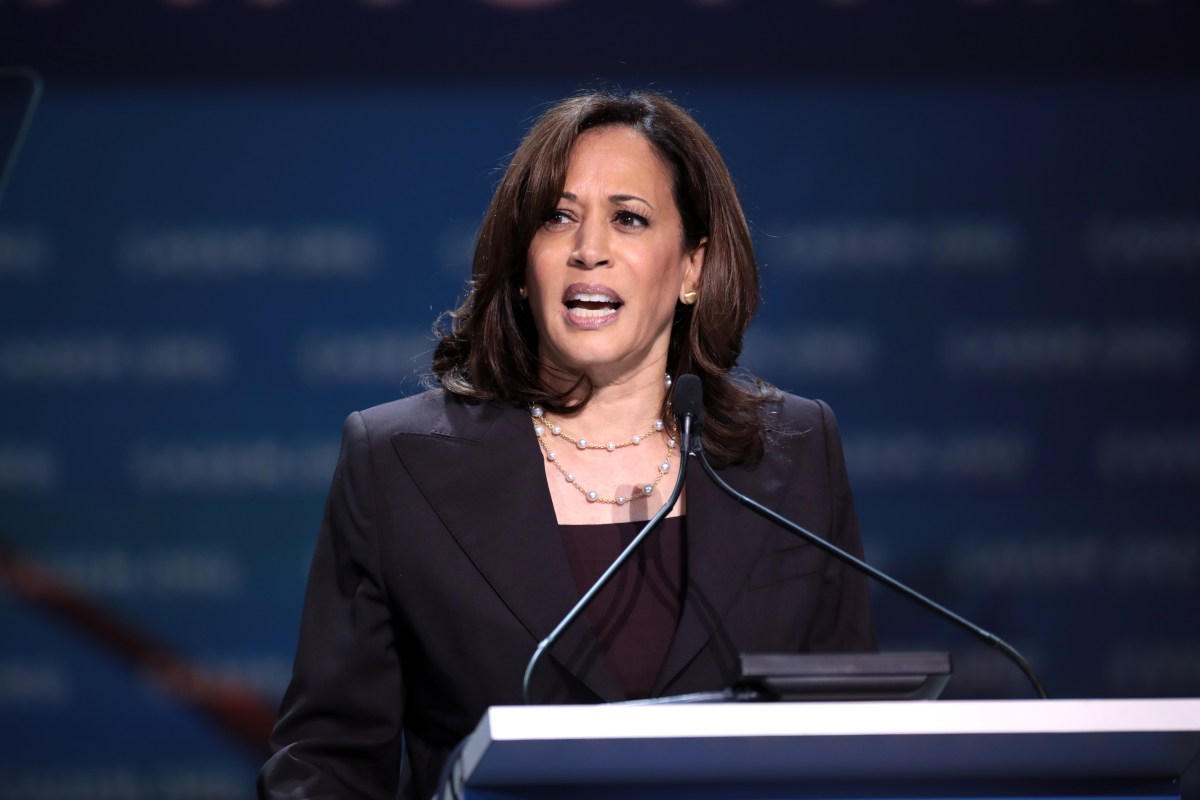 Vermont’s pledged Democratic delegates unanimously back Kamala Harris ...