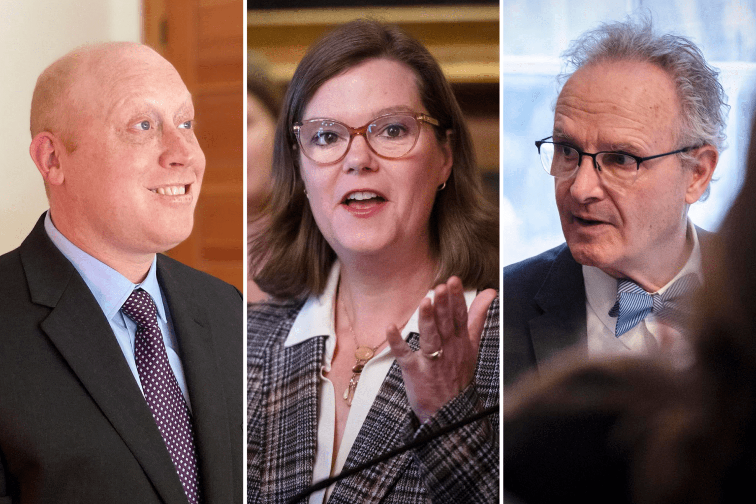 In Addison Senate race, a House Democrat challenges two incumbents ...