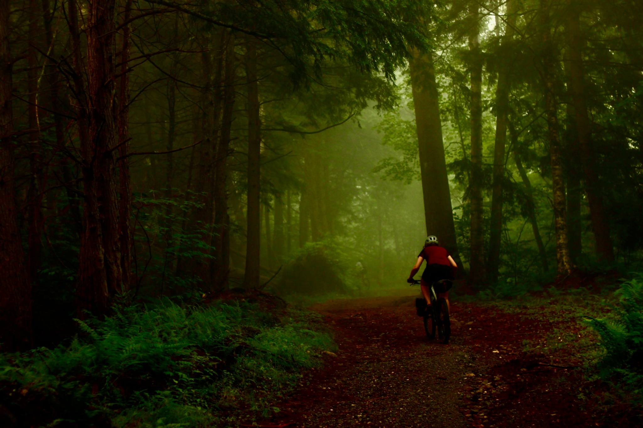 Plans for long-distance mountain bike route in Vermont take step ...