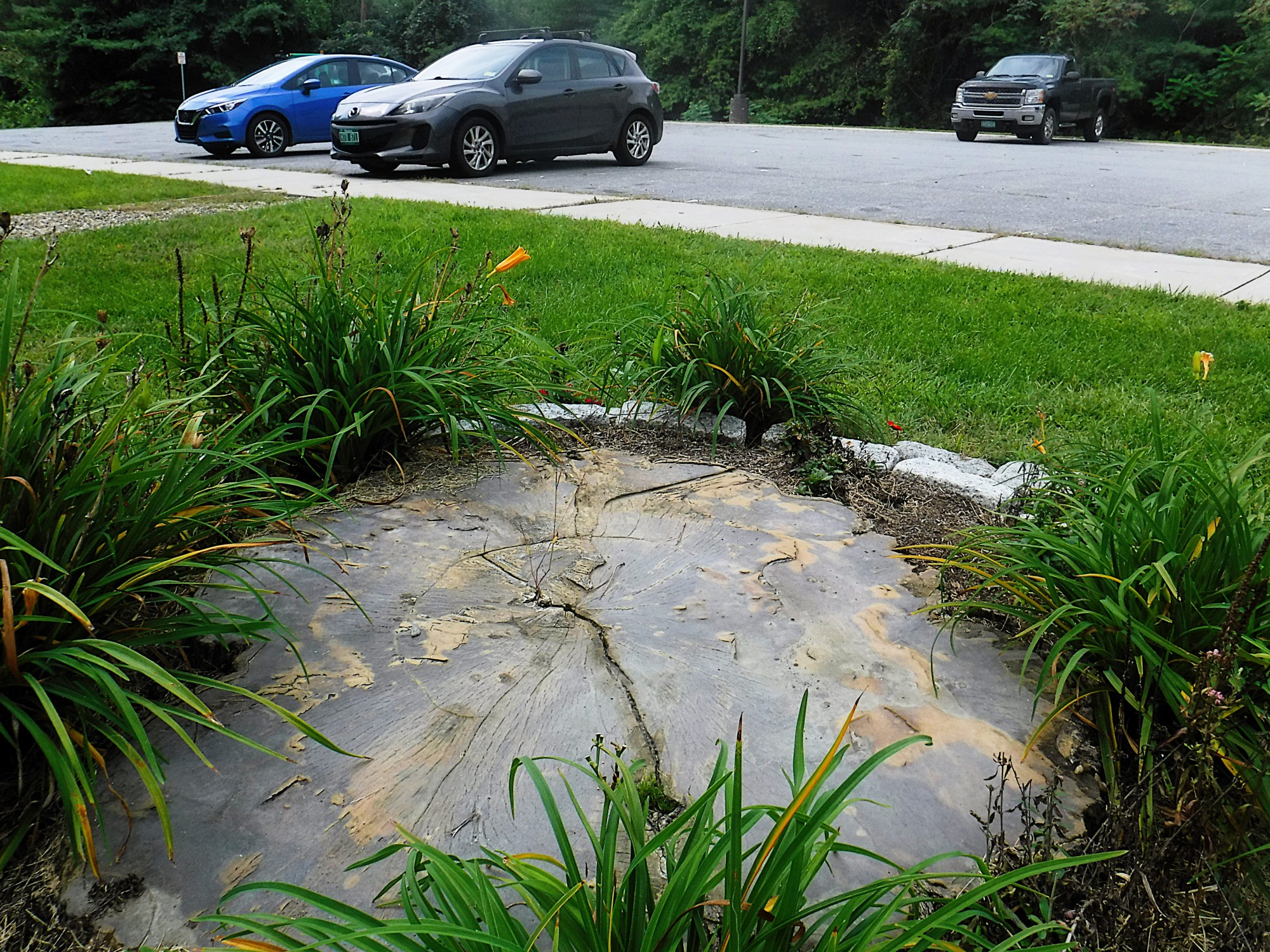 60 years later, a Vermont farmer’s tragic tale lives on. But for how ...