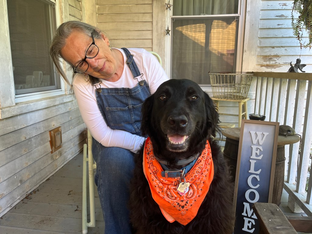 The mysterious origins of a tiny Vermont village called Mosquitoville ...