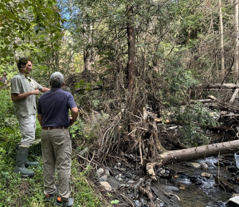 Experts collect seeds to create diverse, flood-resistant forests - VTDigger